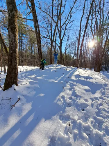 Best Walking Trails in Clinton | AllTrails