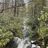 Hawk Falls Trail, Pennsylvania - 2,776 Reviews, Map | AllTrails