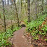 Mima Falls Loop, Washington - 1,410 Reviews, Map | AllTrails