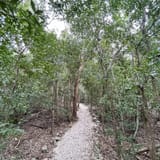 Wild Tamarind Trail, Florida - 230 Reviews, Map | AllTrails