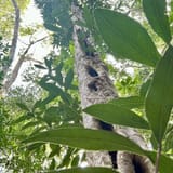 Wild Tamarind Trail, Florida - 230 Reviews, Map | AllTrails