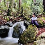 Bootjack Loop, California - 1,731 Reviews, Map | AllTrails