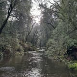 Auburn Overlook to Olmstead Loop Trail, California - 107 Reviews, Map ...