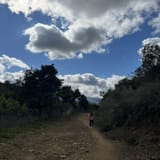 Shelf Road Trail, California - 983 Reviews, Map | AllTrails