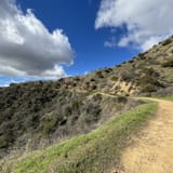 Shelf Road Trail, California - 983 Reviews, Map | AllTrails