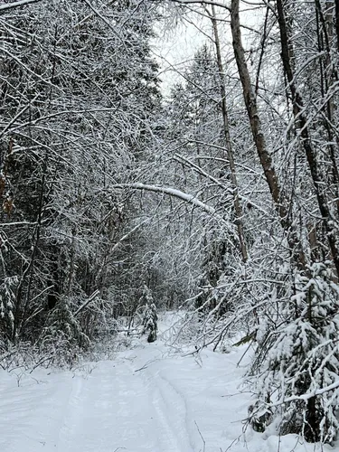 Best Hikes and Trails in Isobel Lake Recreation Site | AllTrails