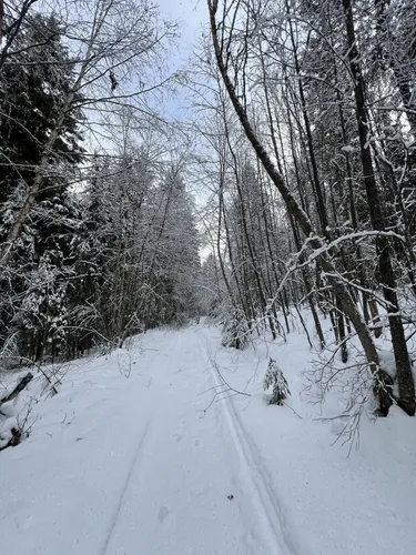 Best Hikes and Trails in Isobel Lake Recreation Site | AllTrails