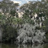 Hanna Park South Trail, Florida - 908 Reviews, Map | AllTrails