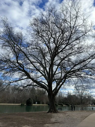 Best Hikes and Trails in Freedom Park | AllTrails