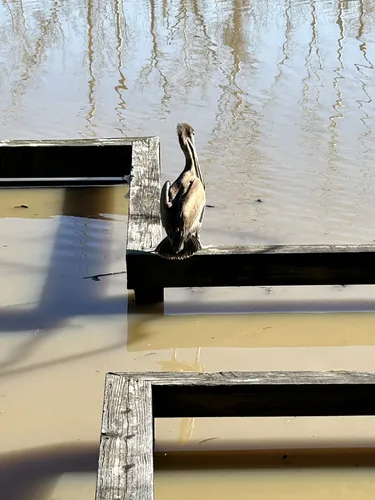 Best Hikes and Trails in Deer Ridge Park | AllTrails