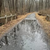 Thirteen Bridges Loop, New York - 1,531 Reviews, Map | AllTrails