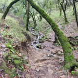 Waterfall Trail, California - 550 Reviews, Map | AllTrails