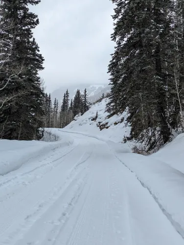 Best Off Road Driving Trails in Durango | AllTrails