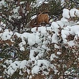 Sangamon Valley Trail, Illinois - 266 Reviews, Map | AllTrails