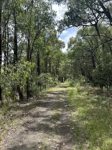 Best Walking Trails in Pakenham Upper | AllTrails