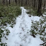 Bear Mountain Trail, Connecticut - 3,119 Reviews, Map | AllTrails