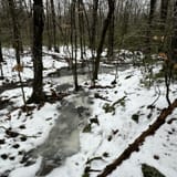 Bear Mountain Trail, Connecticut - 3,119 Reviews, Map | AllTrails