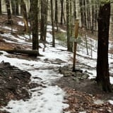 Bear Mountain Trail, Connecticut - 3,119 Reviews, Map | AllTrails