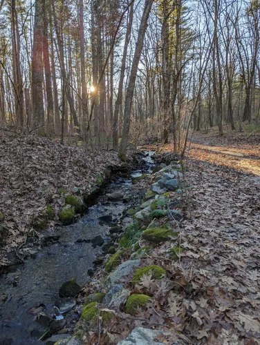 Best Hikes and Trails in Marlborough-Sudbury State Forest | AllTrails