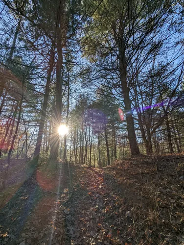 Best Hikes and Trails in Marlborough-Sudbury State Forest | AllTrails