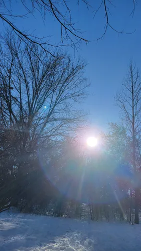 Best Hikes and Trails in Stanton Woods Park | AllTrails