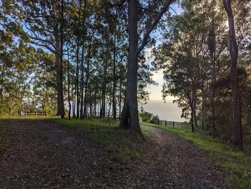 Orara East State Forest: de beste routes om te wandelen | AllTrails