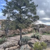 Lone Tree via Peralta Canyon Trail, Arizona - 1,773 Reviews, Map ...