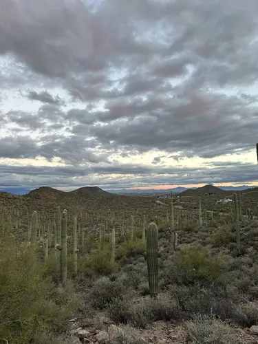 Best Hikes and Trails in Painted Hills Trails Park | AllTrails