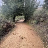 Lake Poway Loop Trail, California - 2,328 Reviews, Map | AllTrails