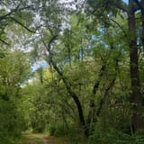 Busch Wildlife Biking-Hiking Trail, Missouri - 728 Reviews, Map | AllTrails