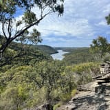 Timber Getters, Bluff, Gahnia and Engraving Tracks Loop, New South ...