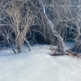 Beartrack Trail to Silver Run Plateau, Montana - 83 Reviews, Map ...