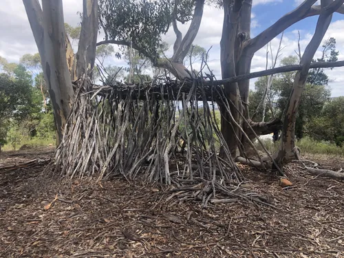 Best Hikes and Trails in Kalimna Park | AllTrails