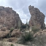 Picketpost Mountain Trail, Arizona - 2,127 Reviews, Map | AllTrails