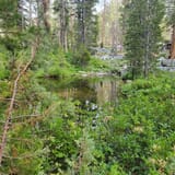 Indian Pools Trail, California - 685 Reviews, Map | AllTrails