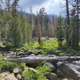 Indian Pools Trail, California - 685 Reviews, Map | AllTrails