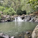 Judd Trail, Oahu, Hawaii - 2,458 Reviews, Map | AllTrails