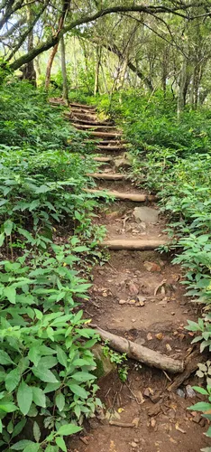 Best Hikes and Trails in Moreleta Kloof Nature Reserve | AllTrails