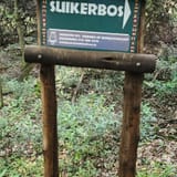 Moreleta Kloof Nature Reserve Trail, Gauteng, South Africa - 608 ...