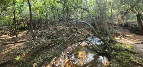 Best Hikes and Trails in Moreleta Kloof Nature Reserve | AllTrails