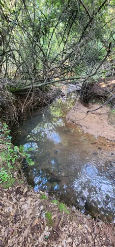 Best Hikes and Trails in Moreleta Kloof Nature Reserve | AllTrails