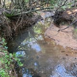 Moreleta Kloof Nature Reserve Trail, Gauteng, South Africa - 608 ...