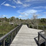 Freedom Park Loop, Florida - 225 Reviews, Map | AllTrails