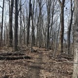 Persimmon Ridge Park Loop, Tennessee - 579 Reviews, Map | AllTrails