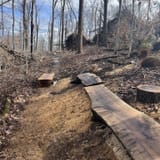 Persimmon Ridge Park Loop, Tennessee - 579 Reviews, Map | AllTrails