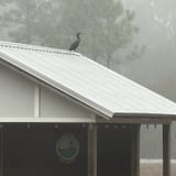 Timpoochee Trail, Florida - 250 Reviews, Map | AllTrails