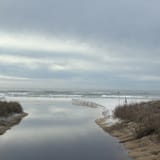 Timpoochee Trail, Florida - 250 Reviews, Map | AllTrails