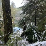 Spider Lake Trail, Washington - 240 Reviews, Map | AllTrails