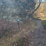 Tanyard Perimeter Loop, Arkansas - 2,493 Reviews, Map | AllTrails