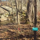 Tanyard Perimeter Loop, Arkansas - 2,493 Reviews, Map | AllTrails